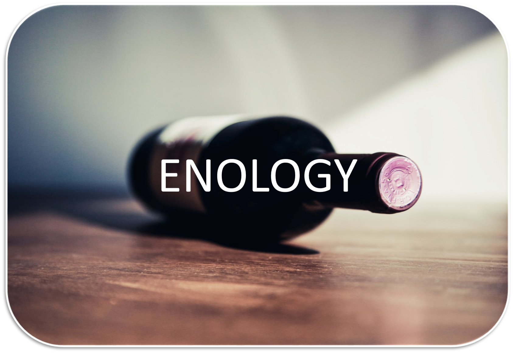 - Viticulture & Enology